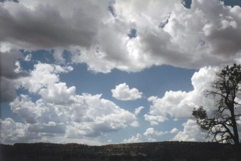 What holds clouds up, and why are some fluffy on top but flat on the ...